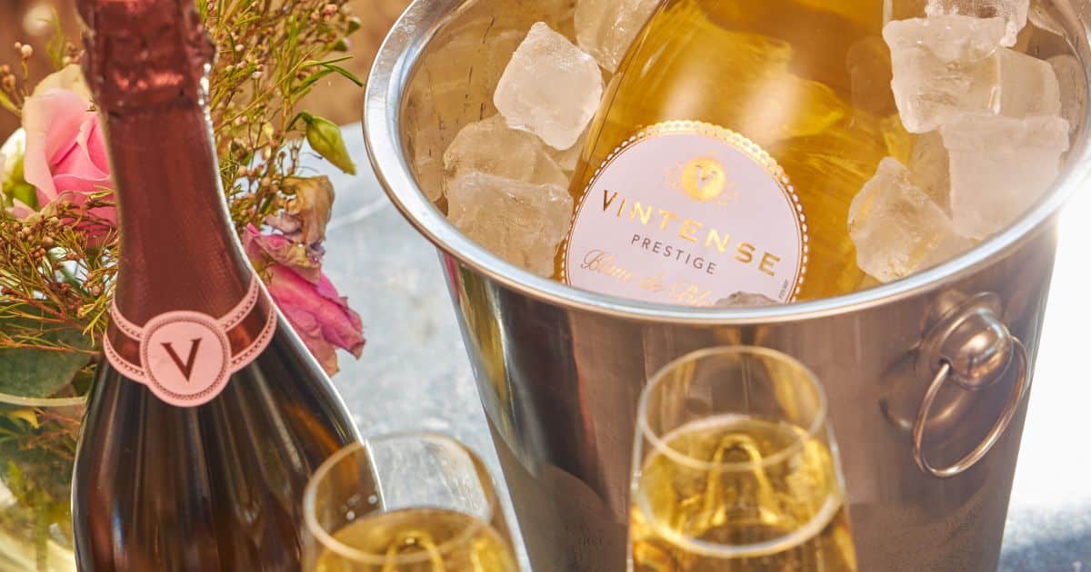 Champagne sans alcool : la gamme effervescente 0.0% - Vintense